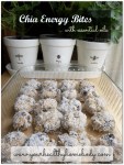 Chia Energy Bites – Healthy Home Body LLC